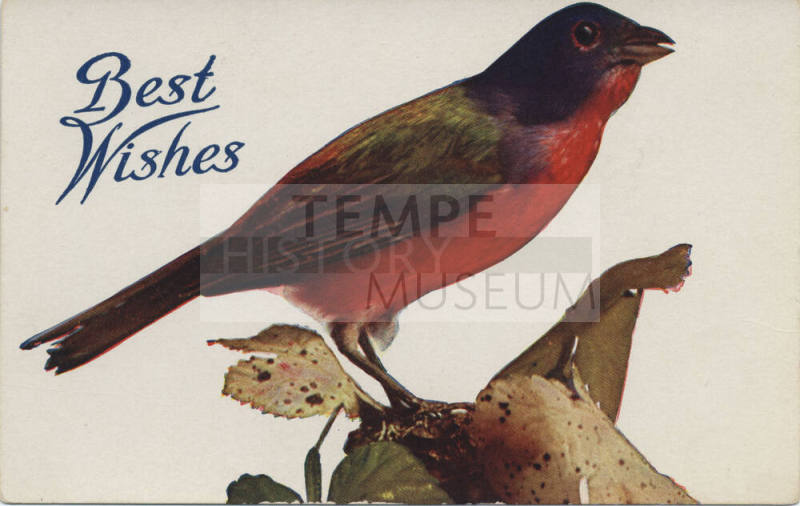 Postcard - Greeting Card - "Best Wishes" – Works – Tempe History Museum